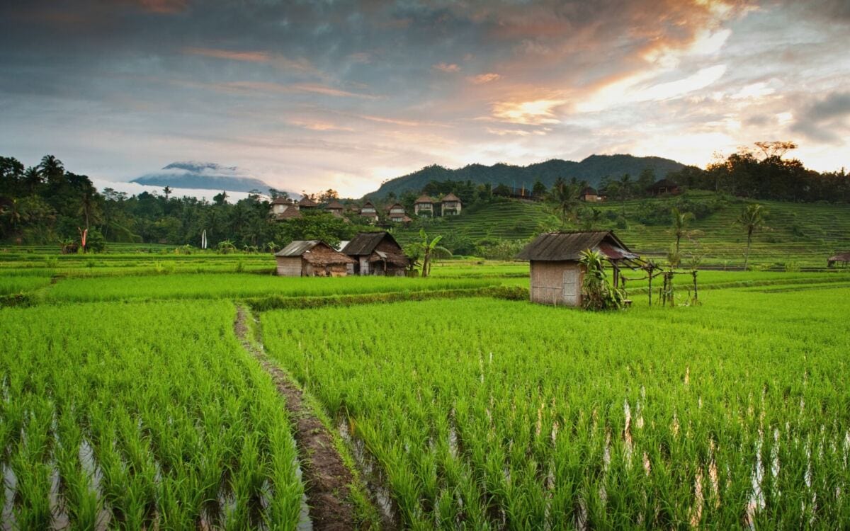 Hidden Gems in Bali: 16+ REAL Best-Kept Secrets - Breathing Travel