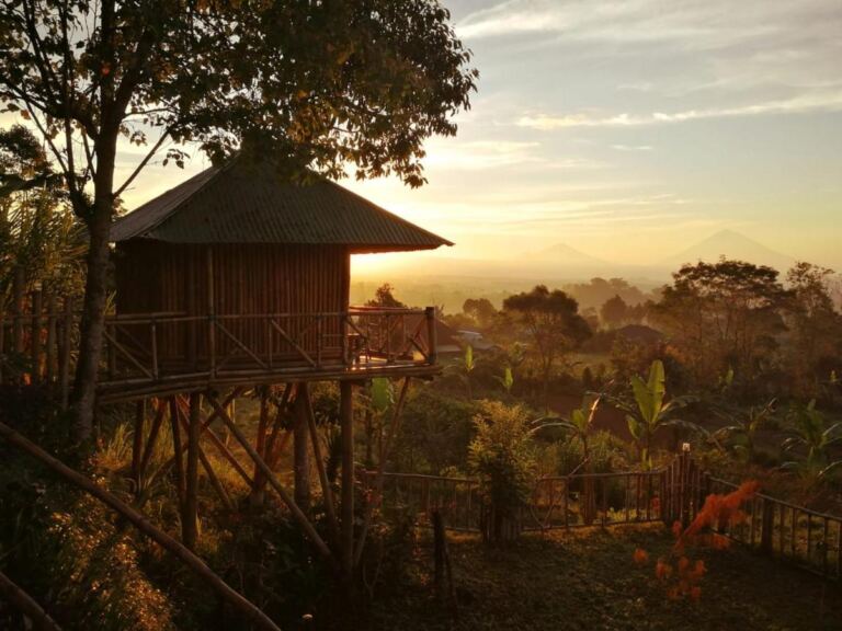 The Best Treehouses in Bali That Will Steal Your Heart - Breathing Travel