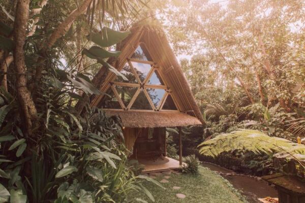 The Best Treehouses in Bali That Will Steal Your Heart - Breathing Travel