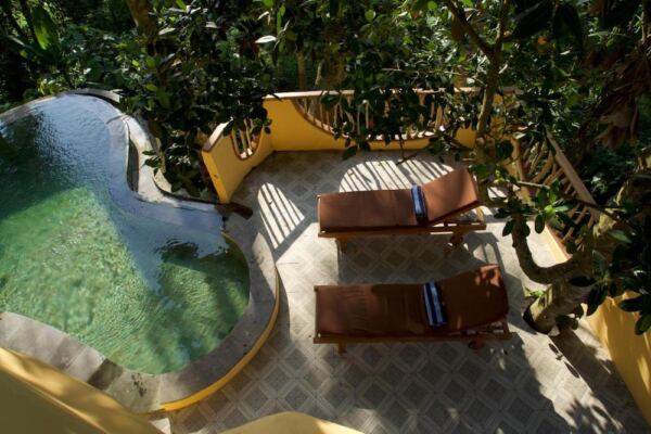 The Best Treehouses in Bali That Will Steal Your Heart - Breathing Travel
