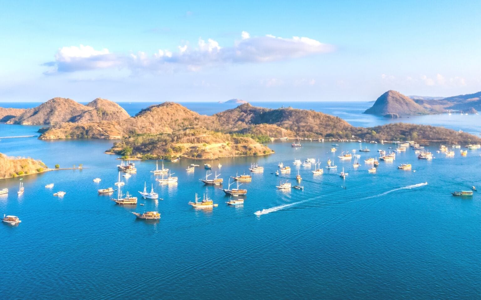 Komodo Island: Ultimate Guide To Komodo National Park - Breathing Travel
