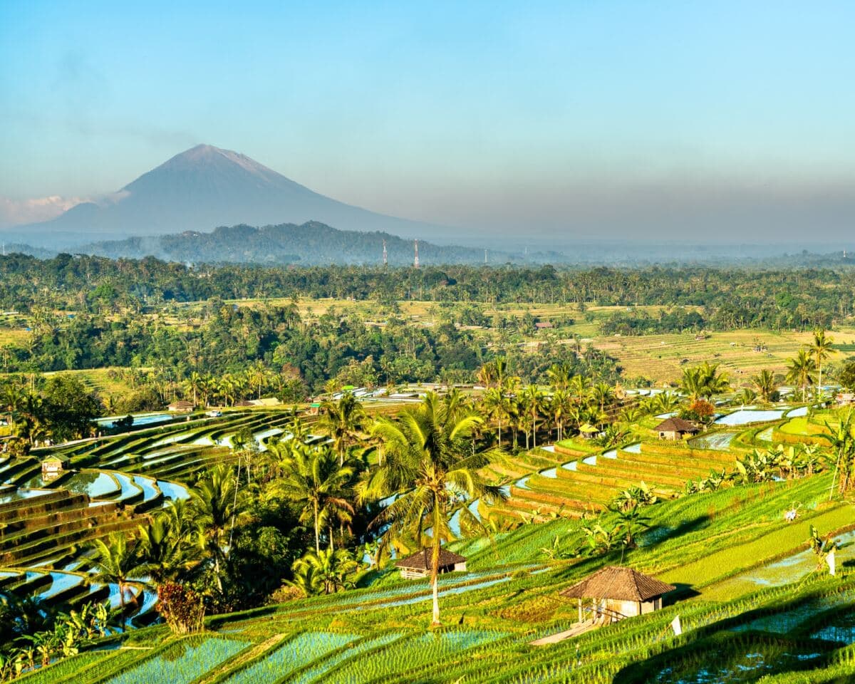 The Ultimate Travel Guide to Umalas, Bali’s Up & Coming Hotspot ...